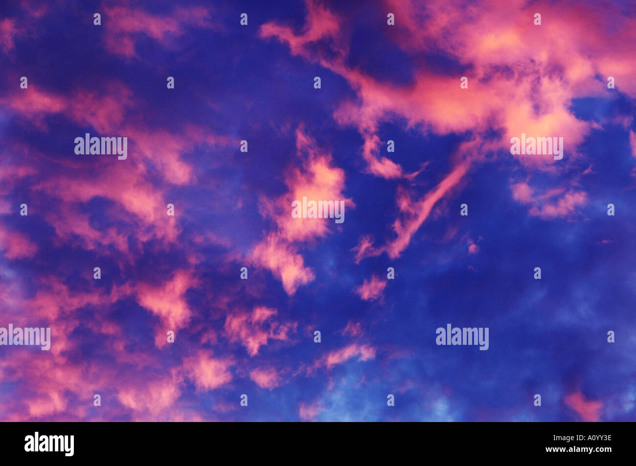 Beauteous hi-res stock photography and images - Alamy