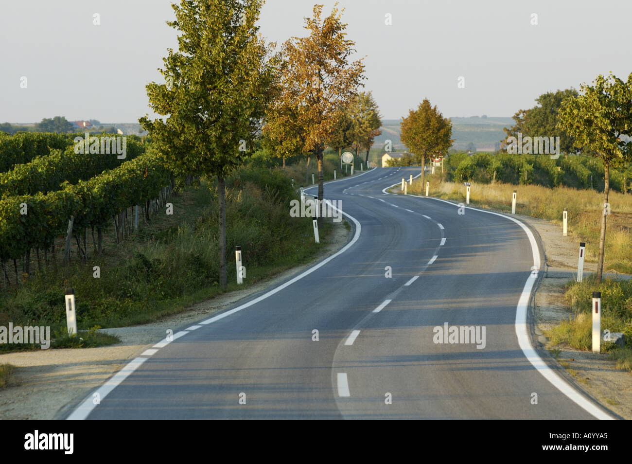 countryside highway with turn, line management, double S curve Stock ...