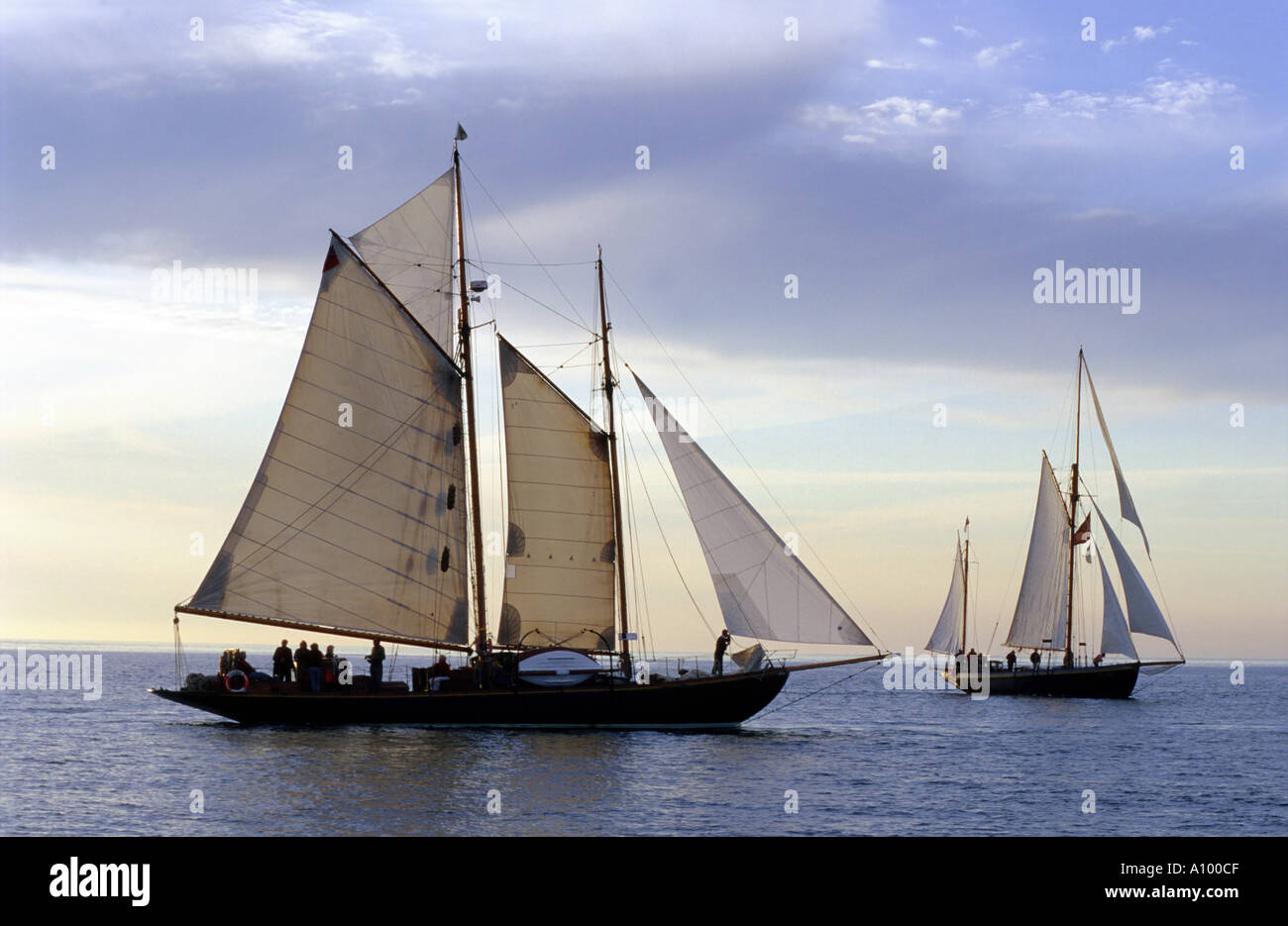 The restored 1909 British built gaff rigged schooner Hoshi under sail ...