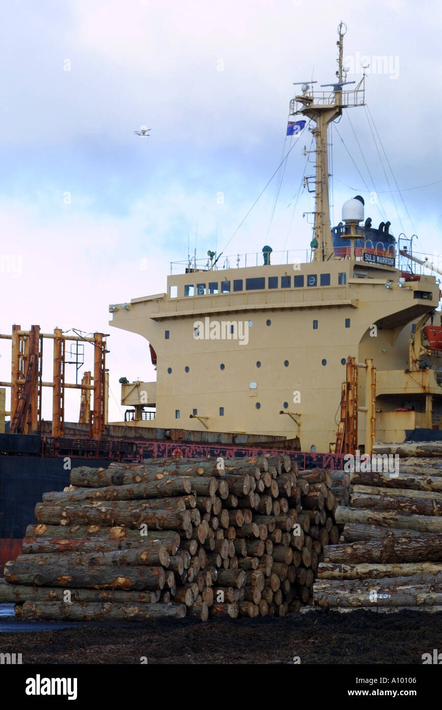Timber exports from new zealand hi-res stock photography and images - Alamy