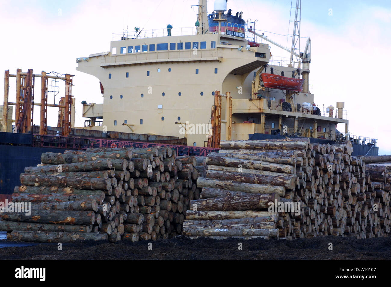 Timber exports from New Zealand Stock Photo - Alamy