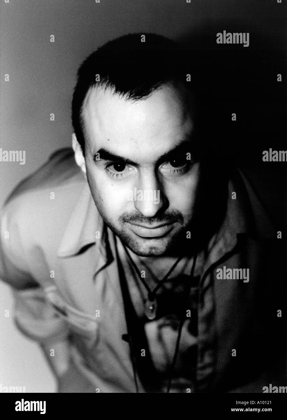 Martin staring at you Stock Photo - Alamy