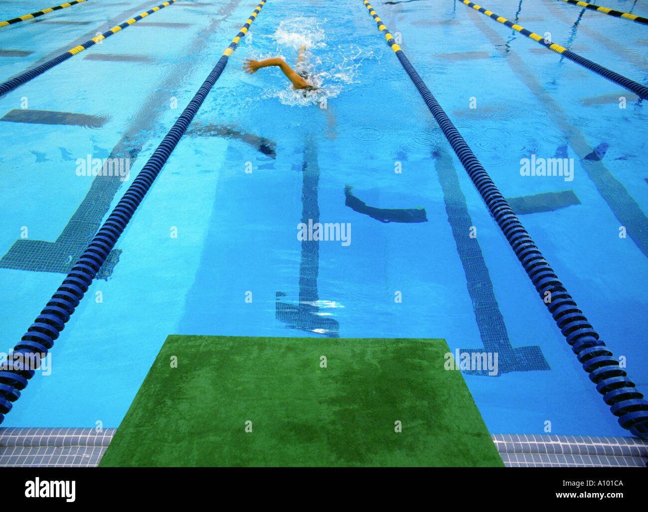 Sports Swimming Pool Miami Florida USA Stock Photo - Alamy