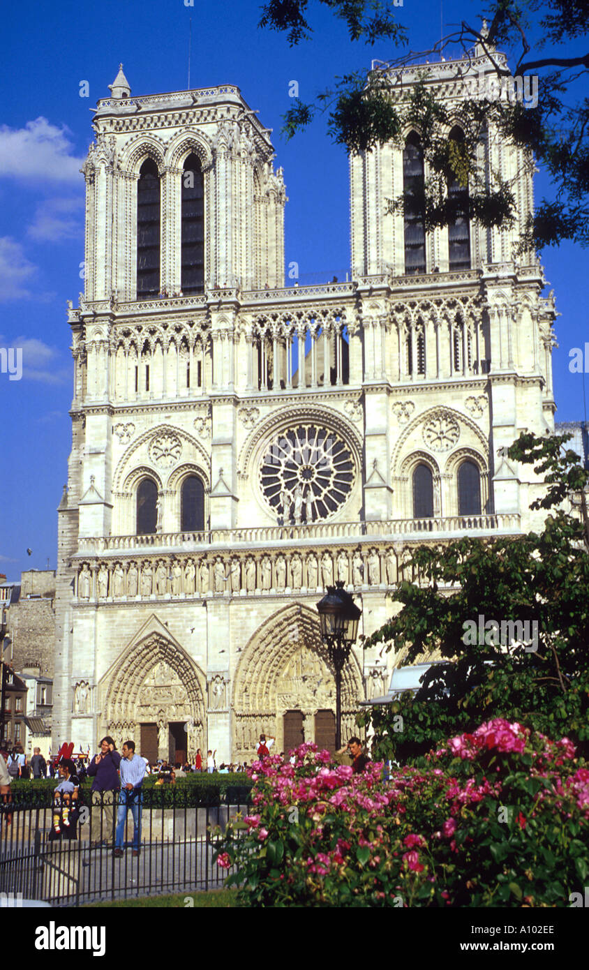 Notre Dame Cathedral, Paris, France in the spring Stock Photo - Alamy