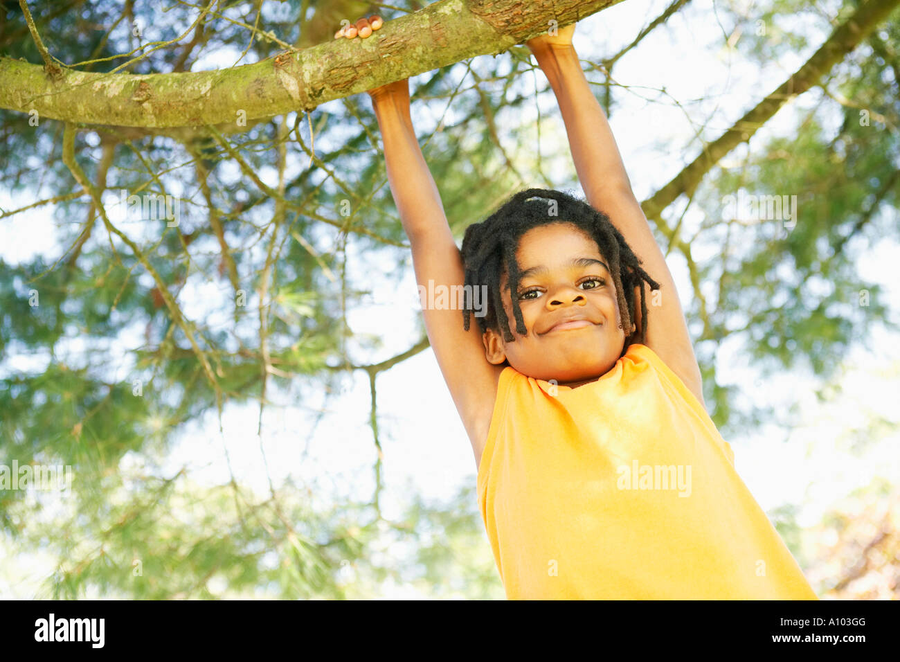 Young African boy hanging from tree branch Stock Photo - Alamy