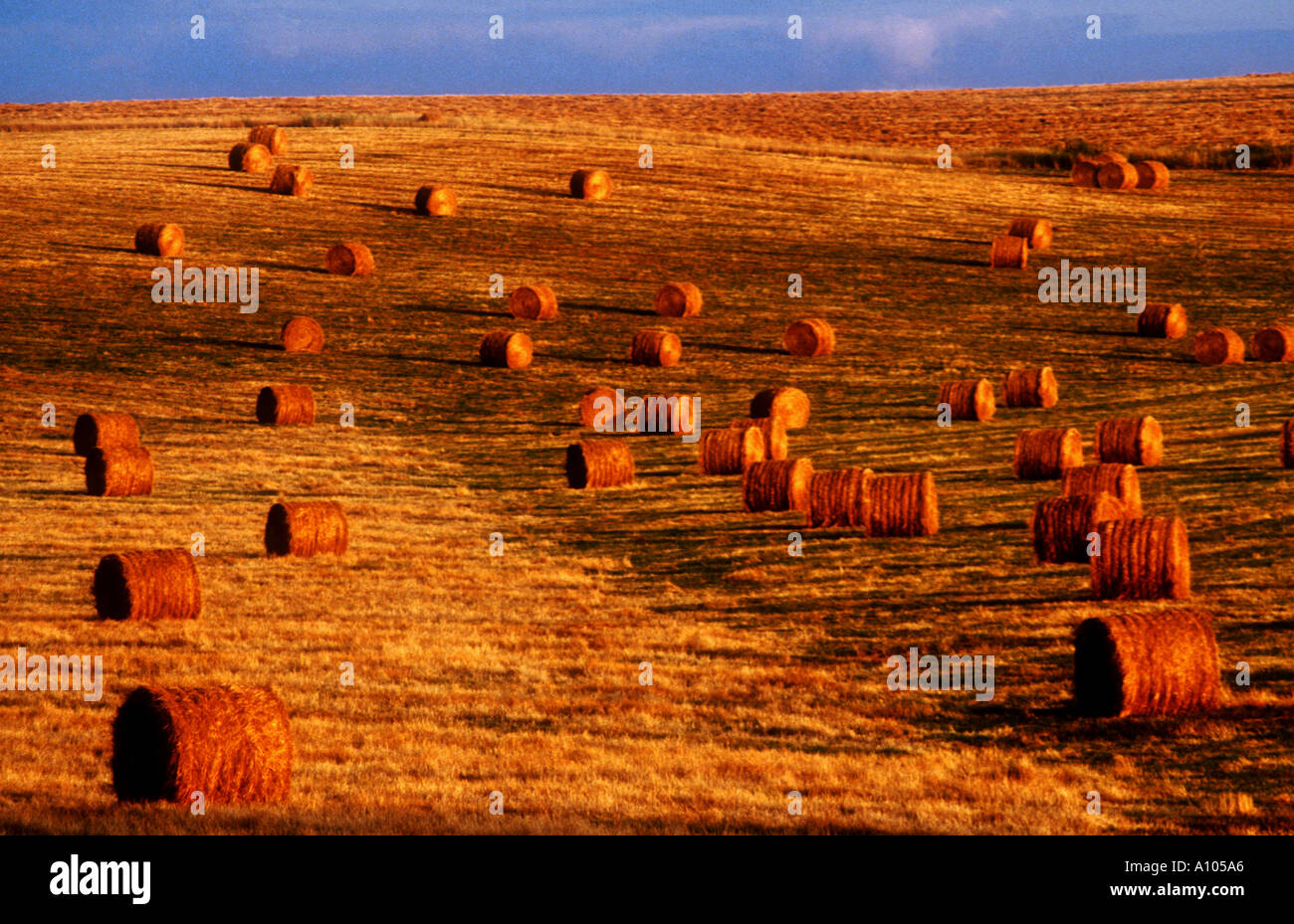 Irrigation of hay fields hi-res stock photography and images - Alamy