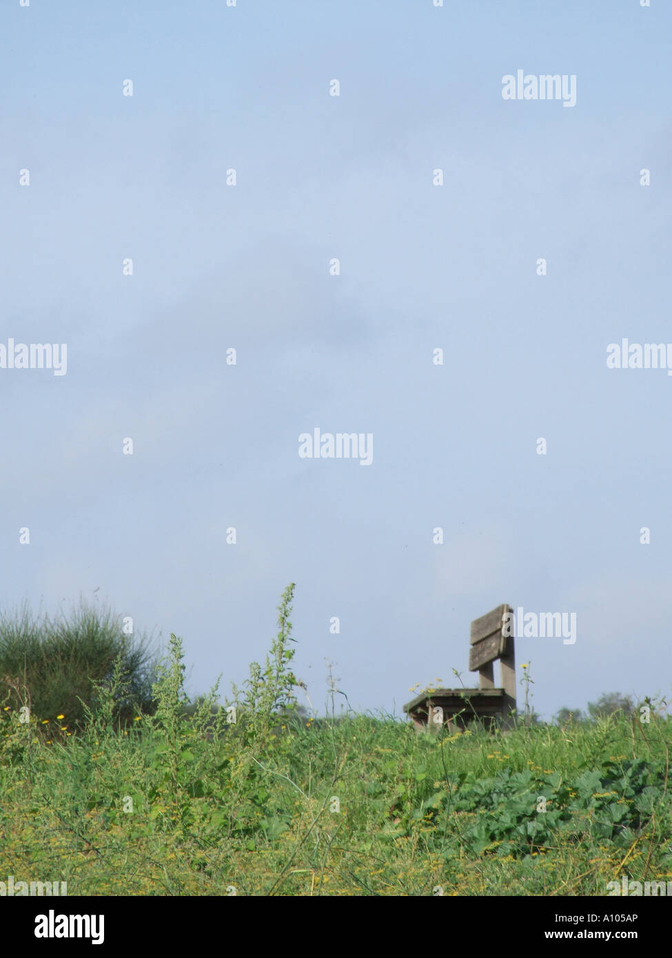 one bench in field Stock Photo - Alamy