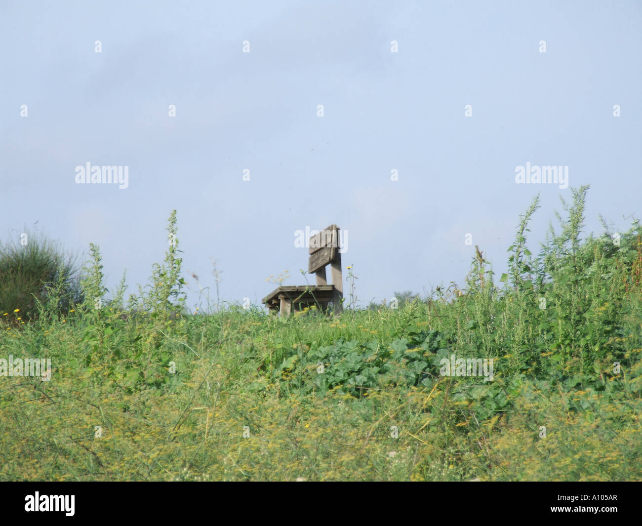 one bench in field Stock Photo - Alamy
