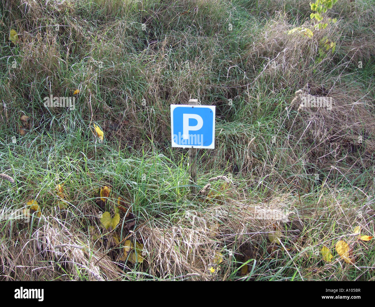 parking sign in field in countryside Stock Photo - Alamy