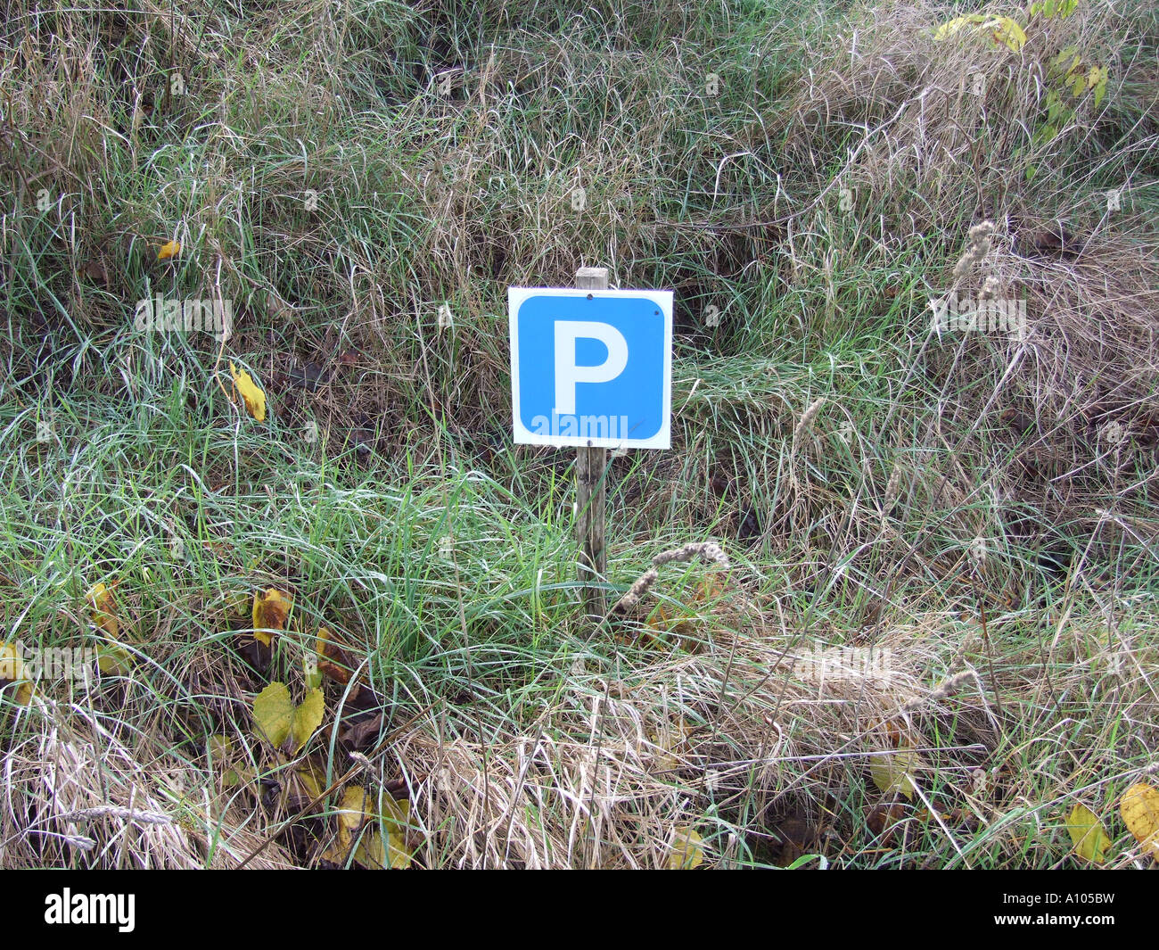 parking sign in field in countryside Stock Photo - Alamy