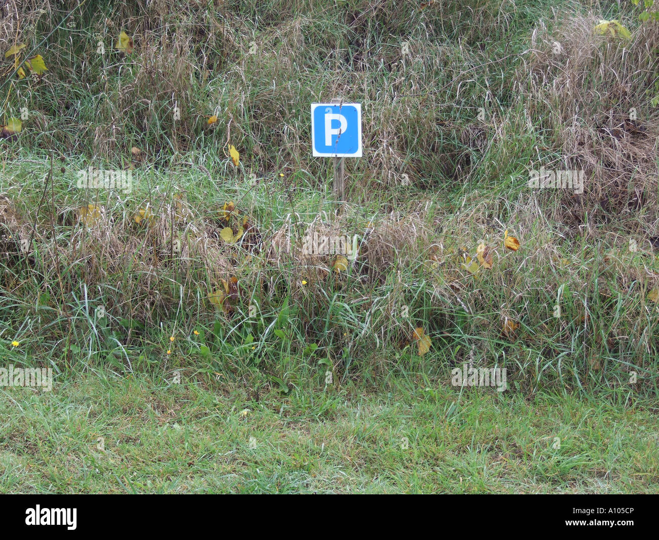 parking sign in field in countryside Stock Photo - Alamy