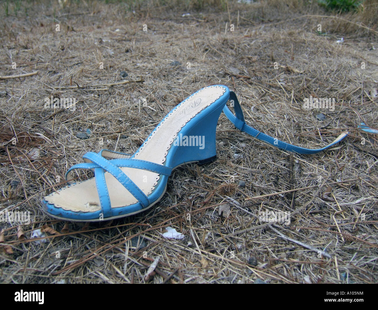 woman's shoe discarded in field Stock Photo - Alamy