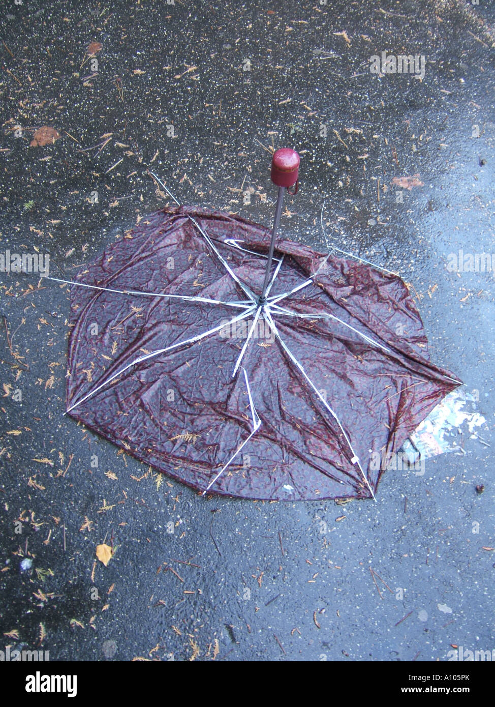 broken umbrella on wet pavement Stock Photo - Alamy