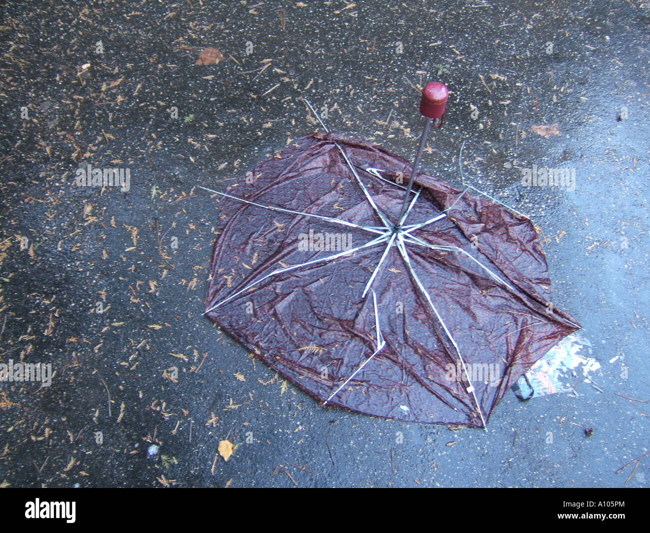 broken umbrella on wet pavement Stock Photo - Alamy
