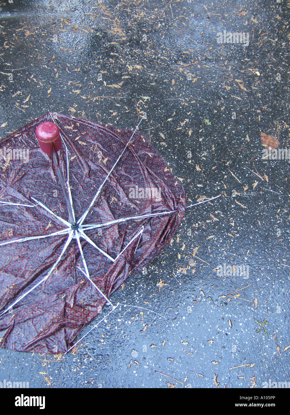 broken umbrella on wet pavement Stock Photo - Alamy