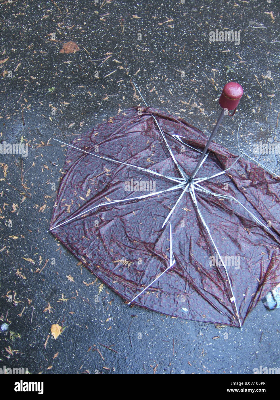 broken umbrella on wet pavement Stock Photo - Alamy