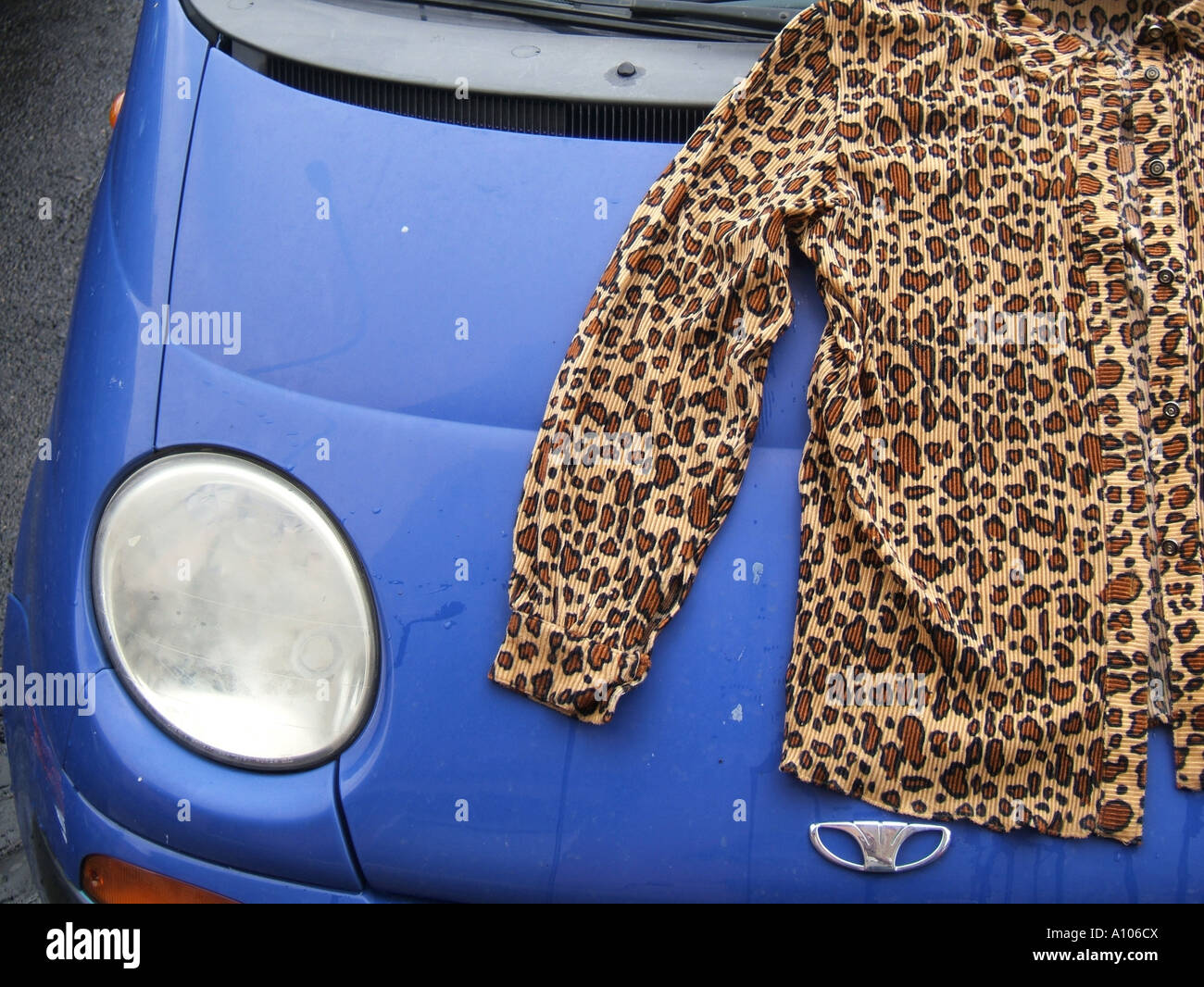 Flea Jumper High Resolution Stock Photography and Images - Alamy