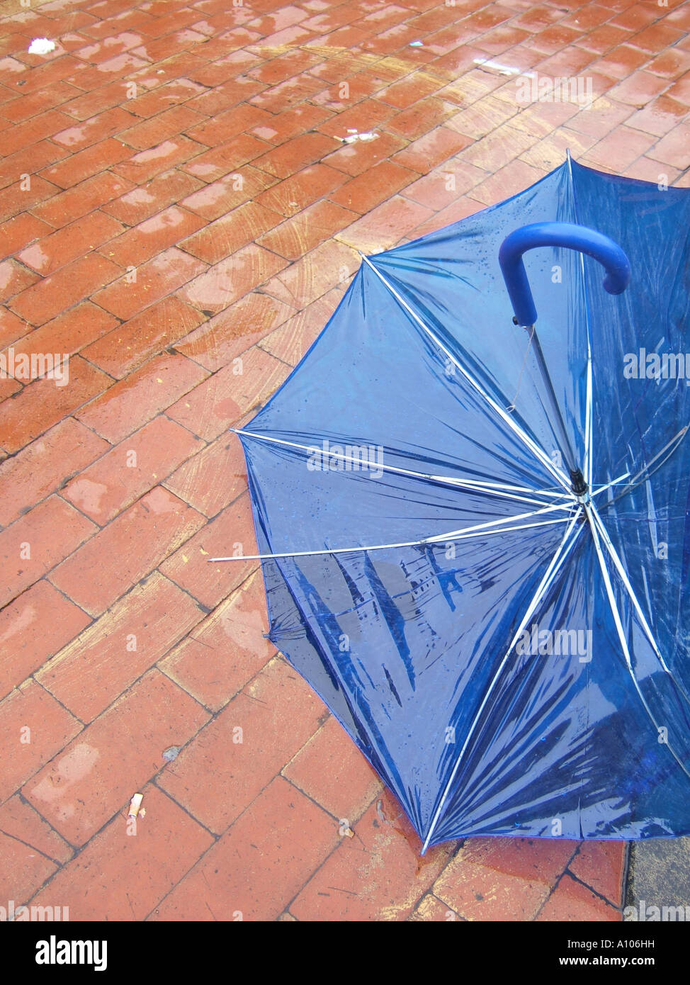 broken umbrella on wet pavement Stock Photo - Alamy