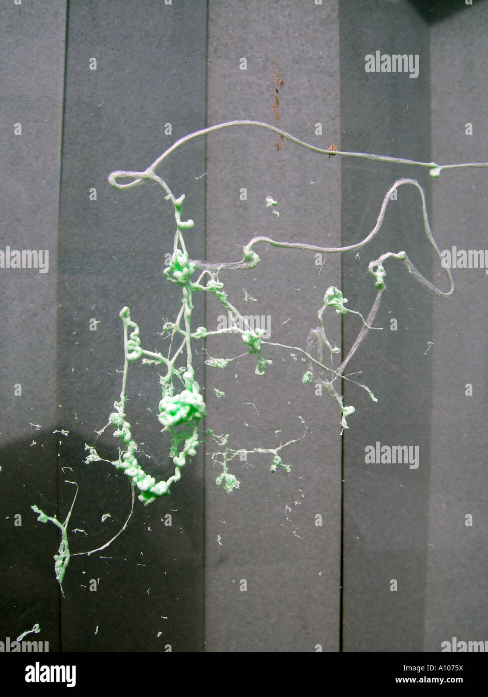 party streamer spray on window Stock Photo - Alamy