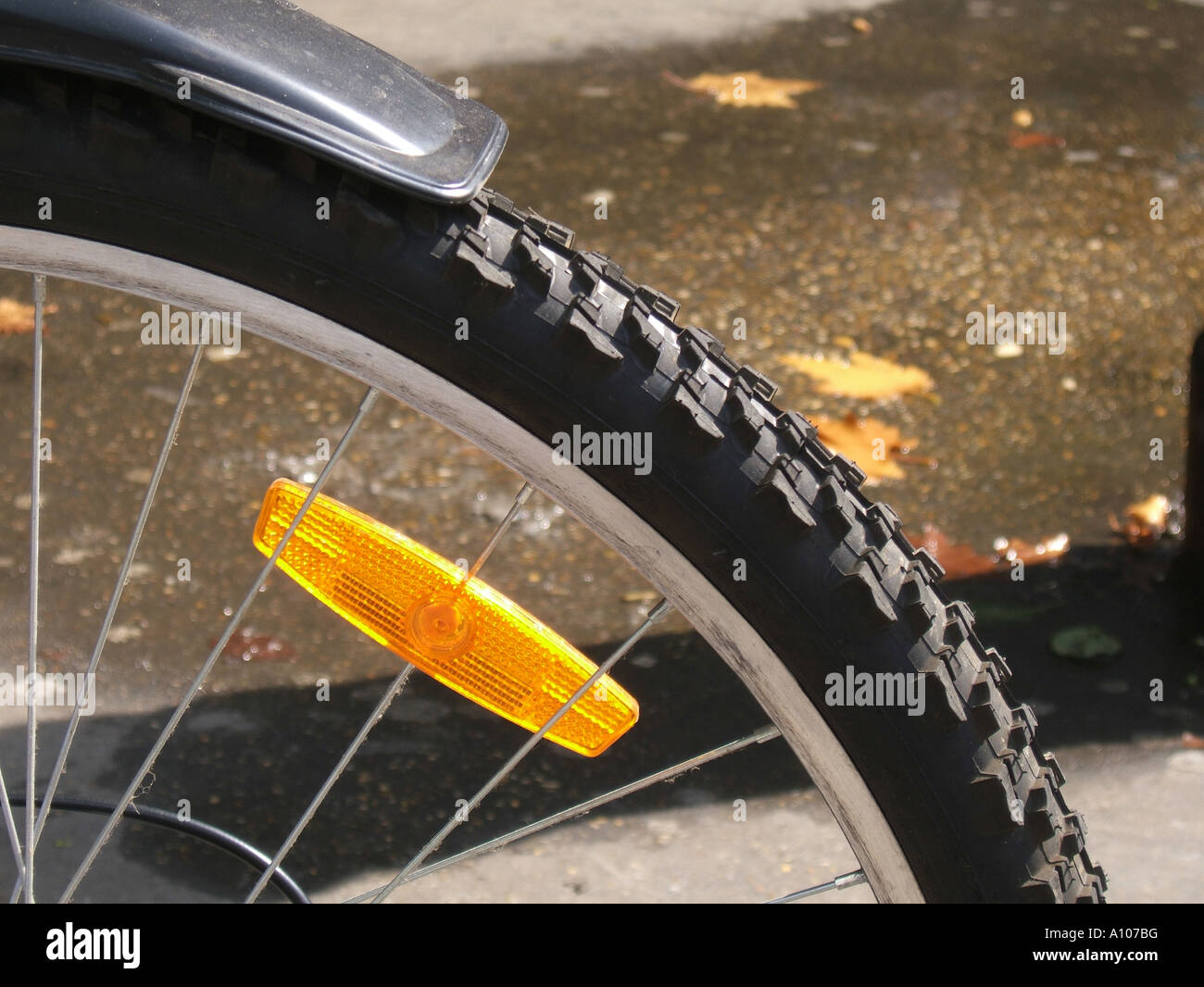 one bike rear back wheel Stock Photo - Alamy