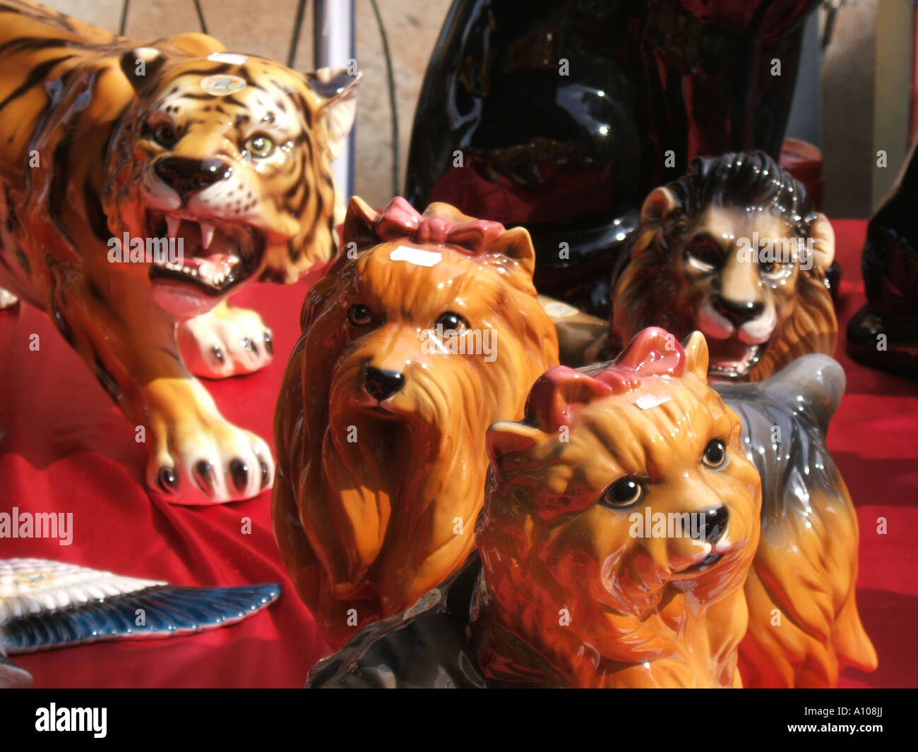 Placid tiger hi-res stock photography and images - Alamy