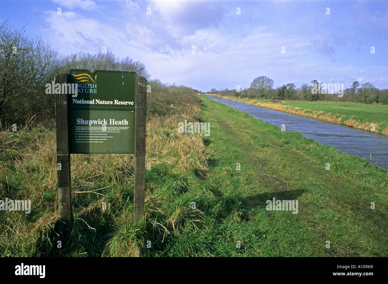 The shapwick hi-res stock photography and images - Alamy