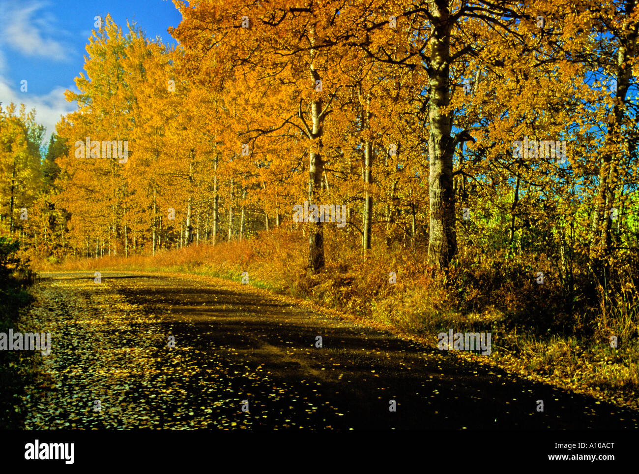 Back roads and film hi-res stock photography and images - Alamy