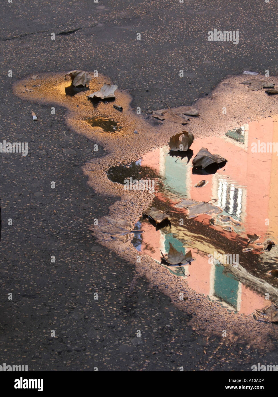 building reflected in pool of water in rome Stock Photo - Alamy