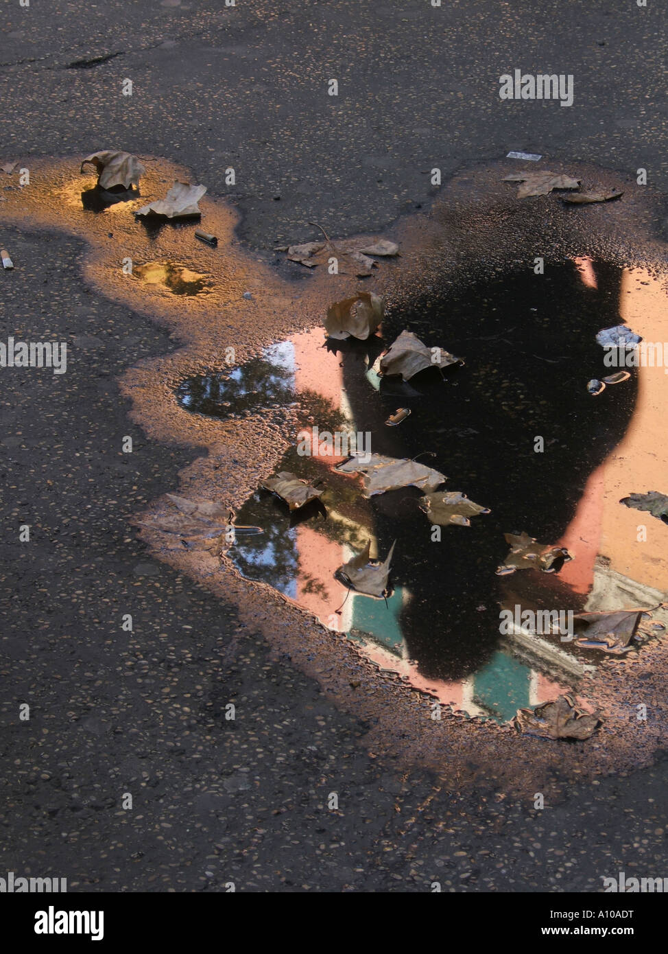 building reflected in pool of water in rome Stock Photo - Alamy