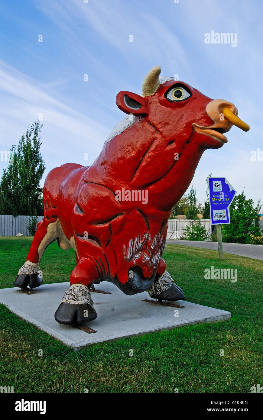 Manitobia bull mascot Stock Photo - Alamy
