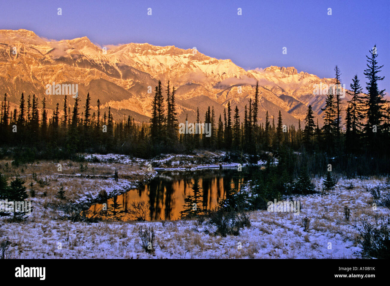 Miette range winter hi-res stock photography and images - Alamy