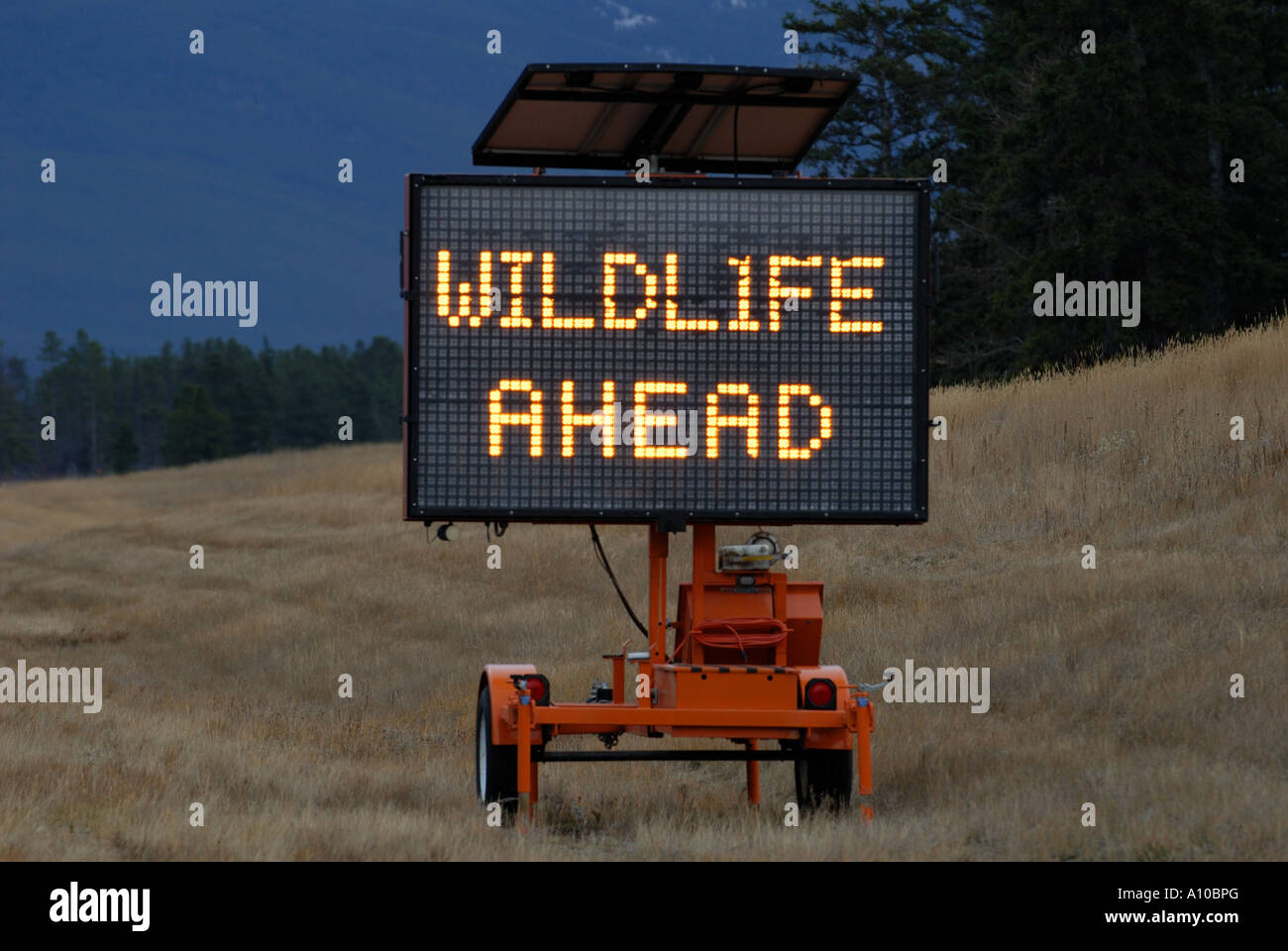 Wildlife warning sign Stock Photo - Alamy