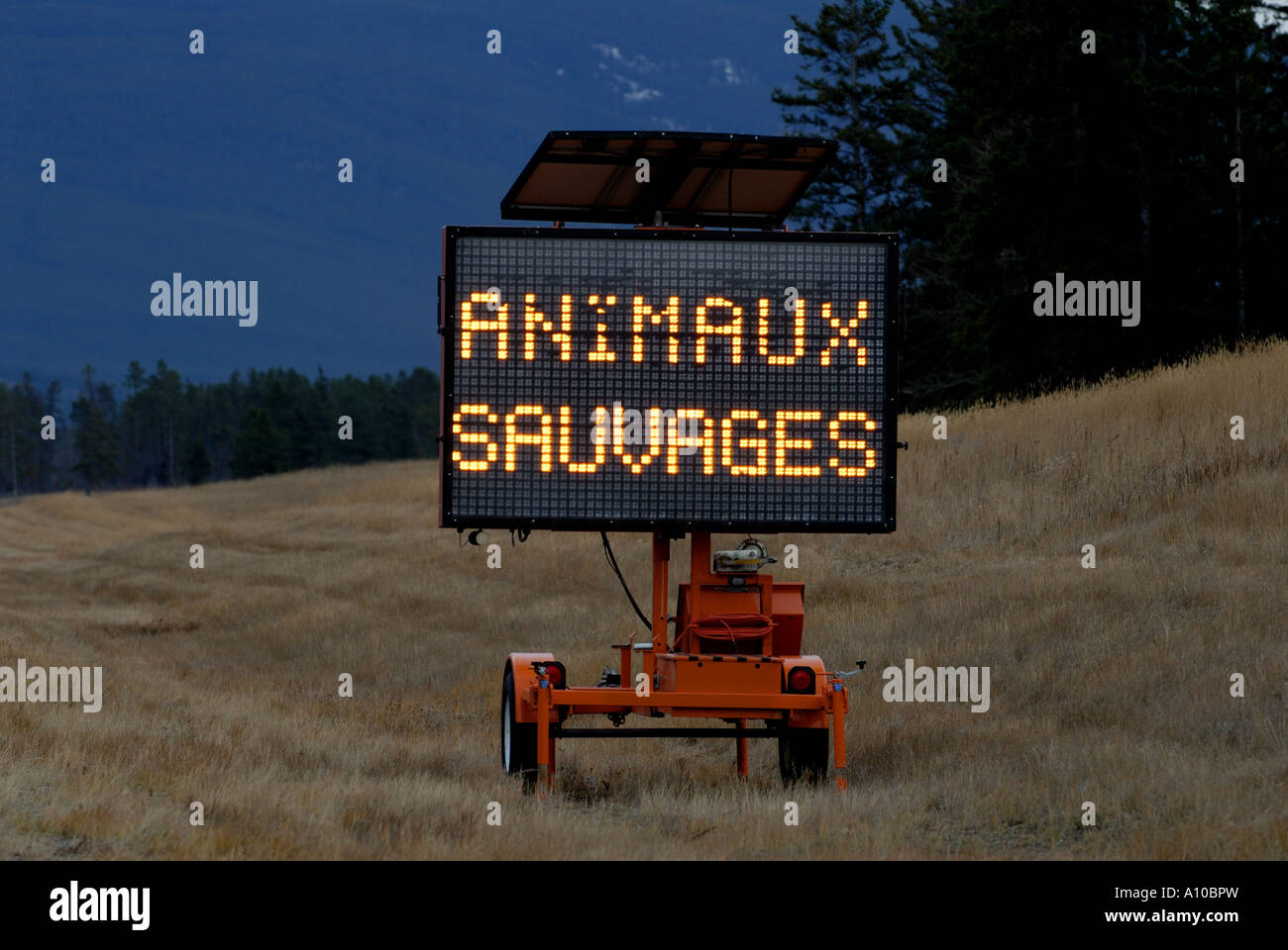 Wildlife warning sign Stock Photo - Alamy