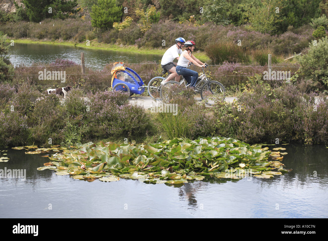 Family cycling on the Devoran to Portreath Mineral Tramway now a cycle ...