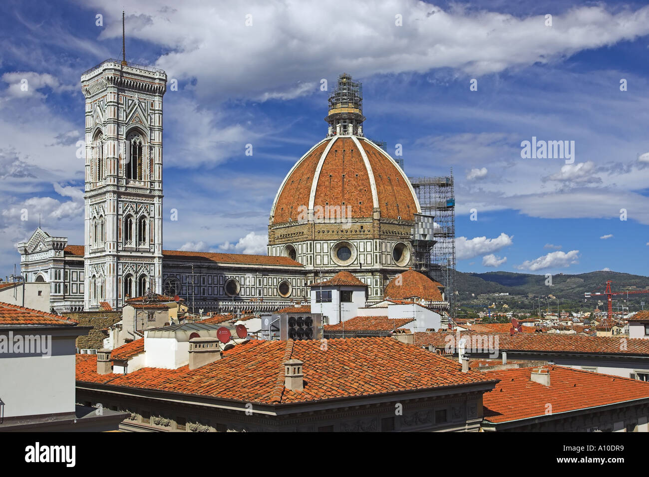Dumo hi-res stock photography and images - Alamy