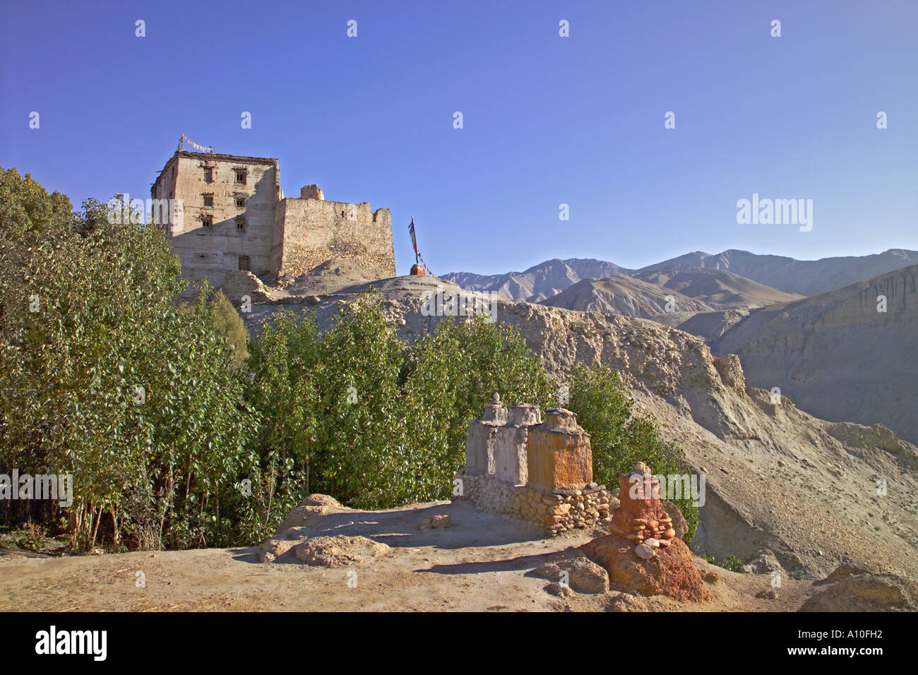 Tsarang palace hi-res stock photography and images - Alamy