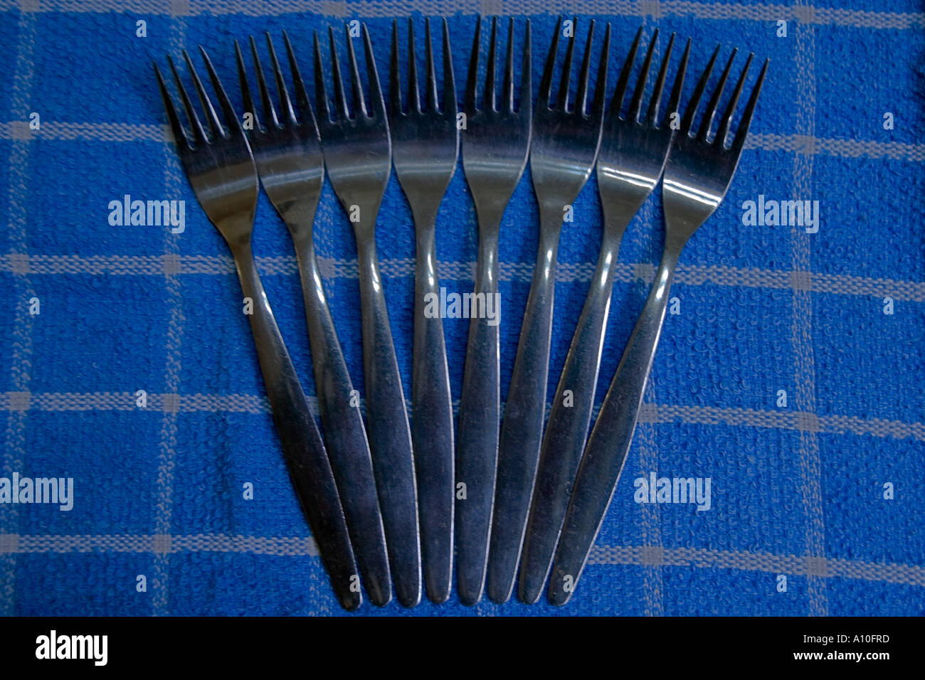 Eight forks set up in a fan formation on blue striped towel Stock Photo ...
