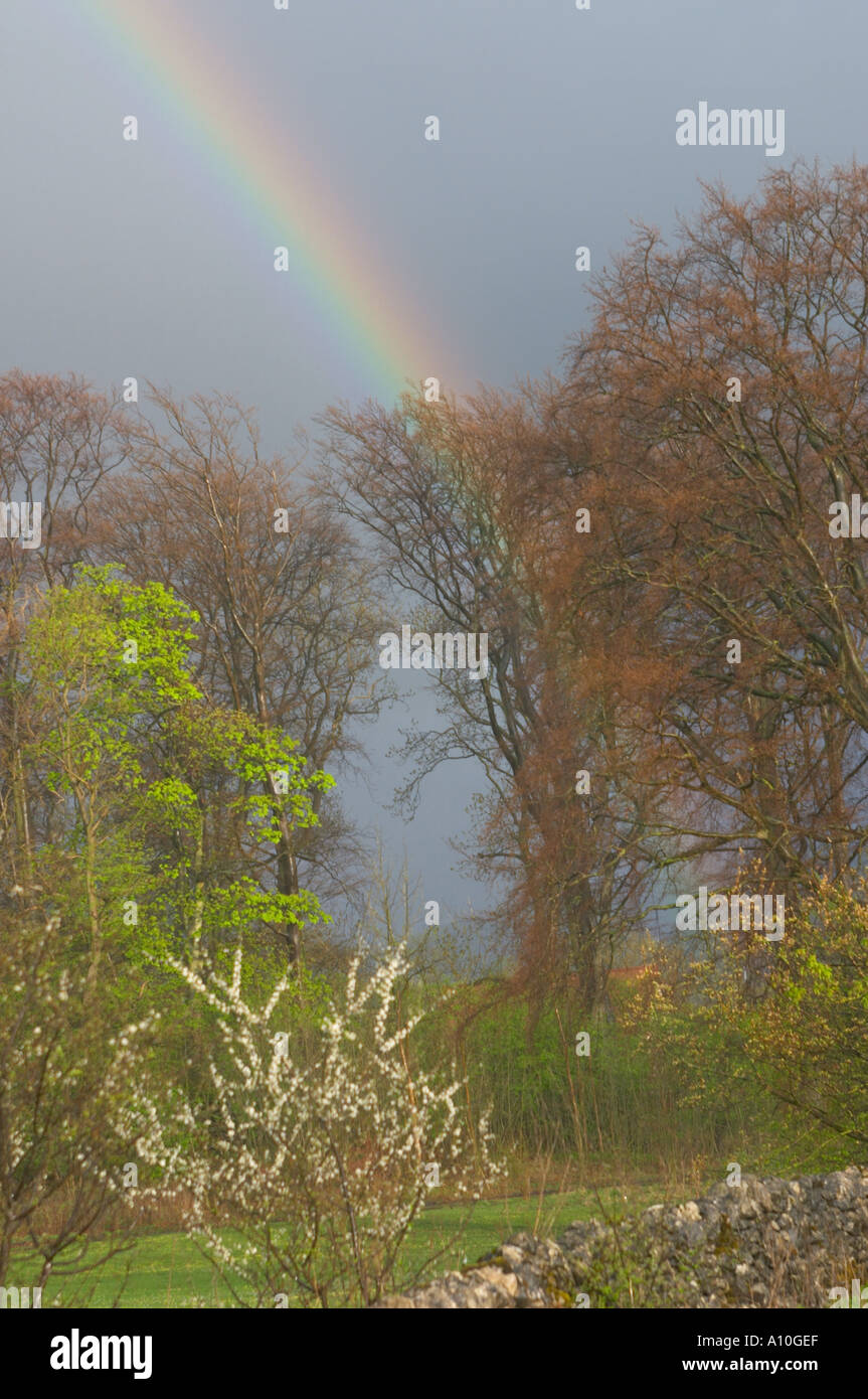 Crw 9299 hi-res stock photography and images - Alamy