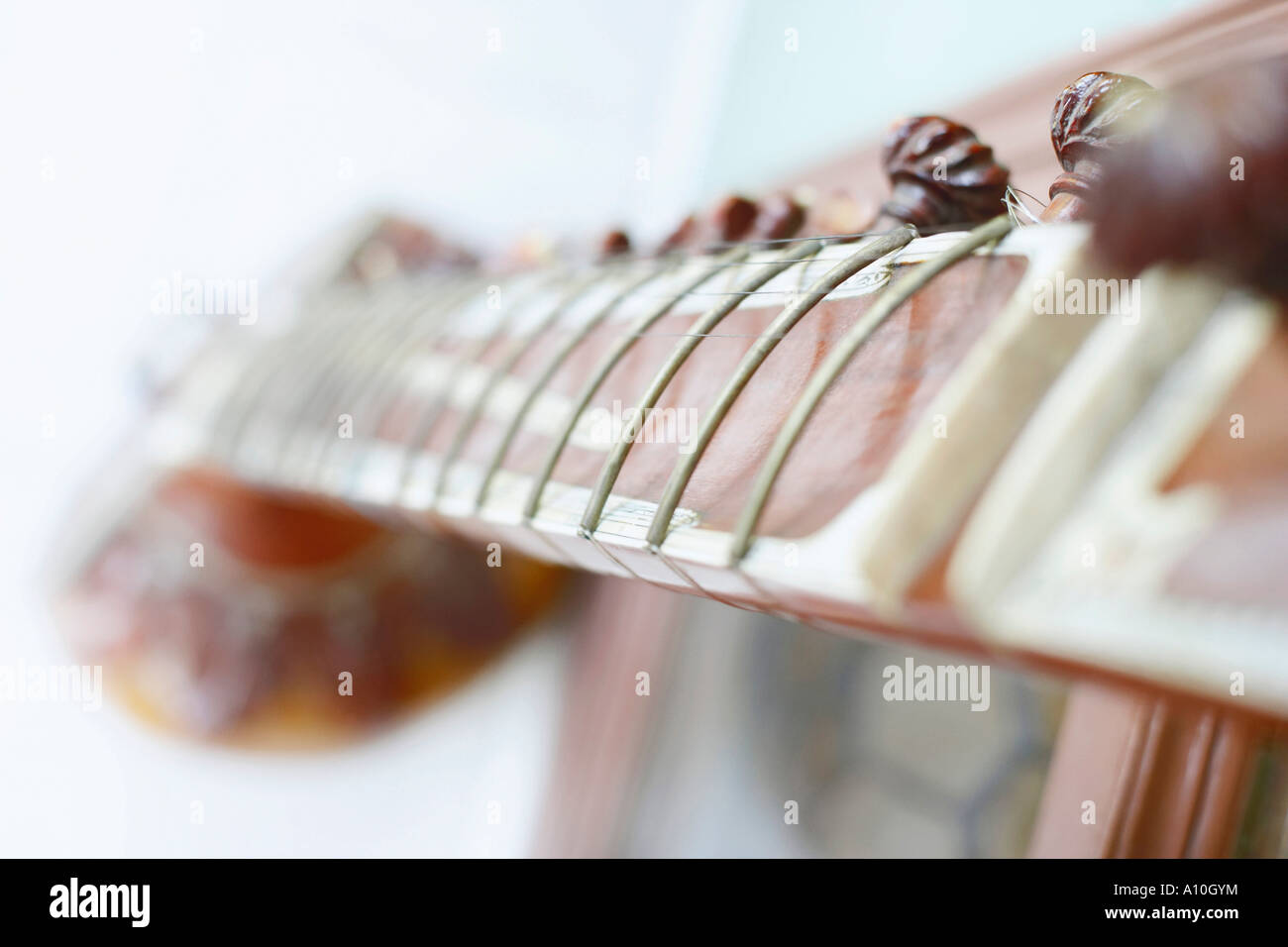 Close-up of a sitar Stock Photo - Alamy
