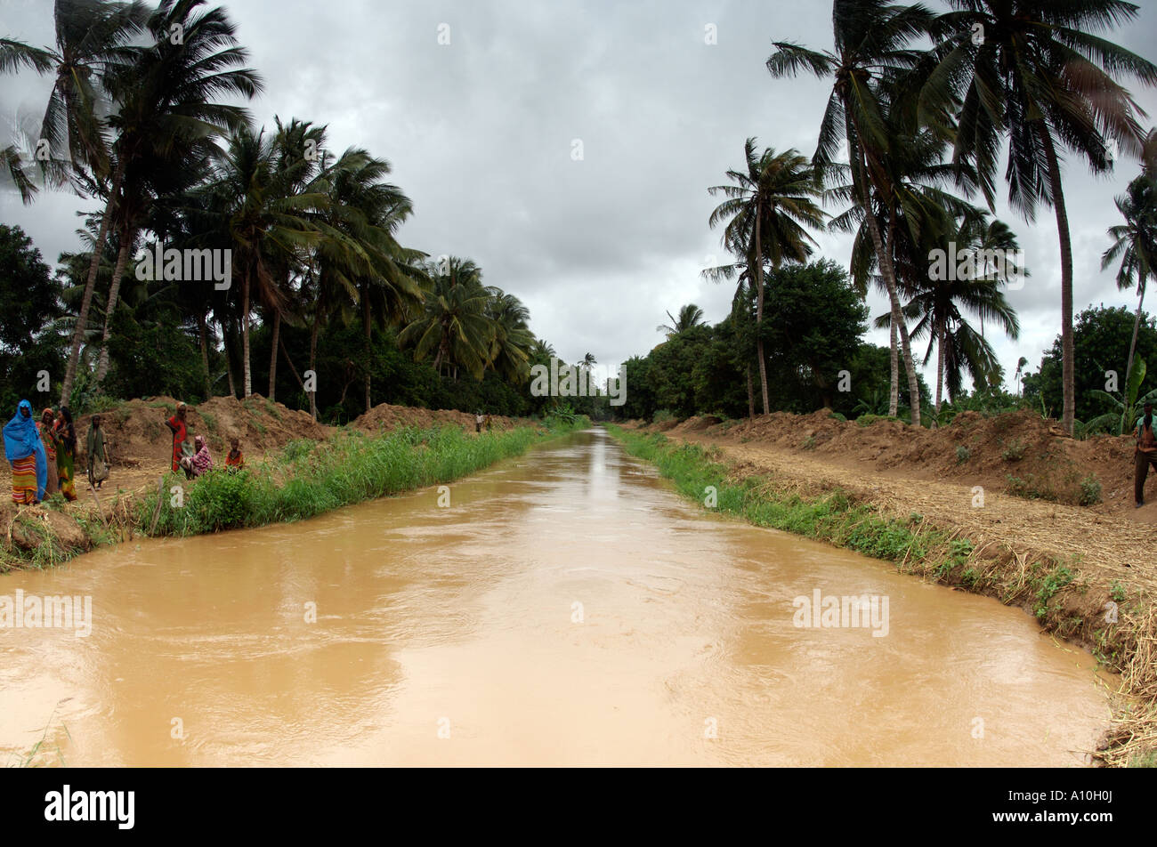 Farm worker planting crops in Lower Shabelle, southern Somalia Stock ...
