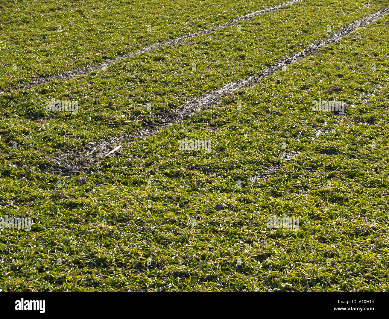 Tractor tracks field hi-res stock photography and images - Alamy