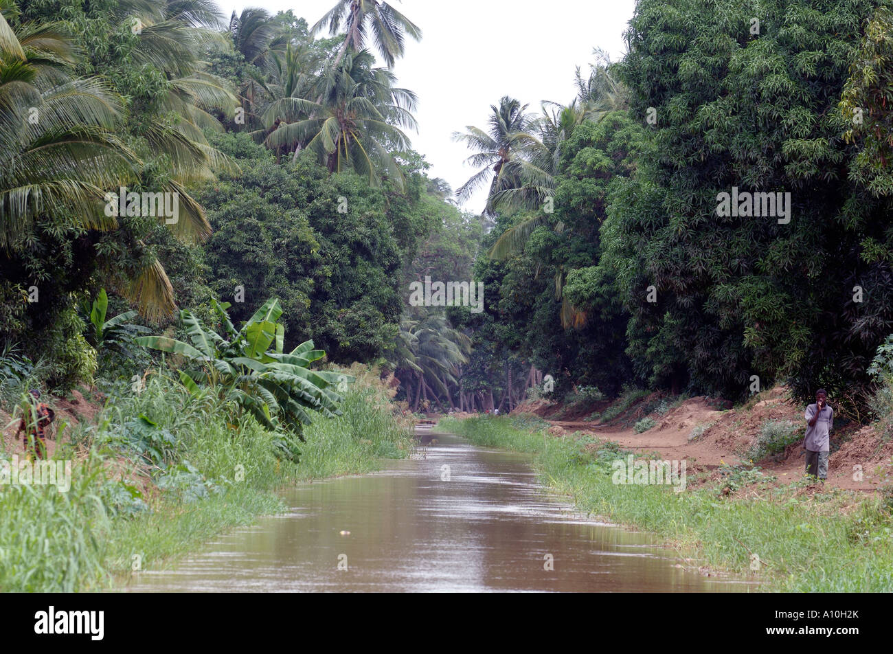 Farm worker planting crops in Lower Shabelle, southern Somalia Stock ...