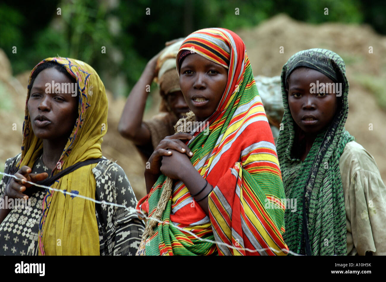 Farm worker planting crops in Lower Shabelle, southern Somalia Stock ...
