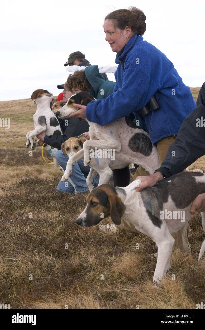 Trail Hounds High Resolution Stock Photography and Images - Alamy
