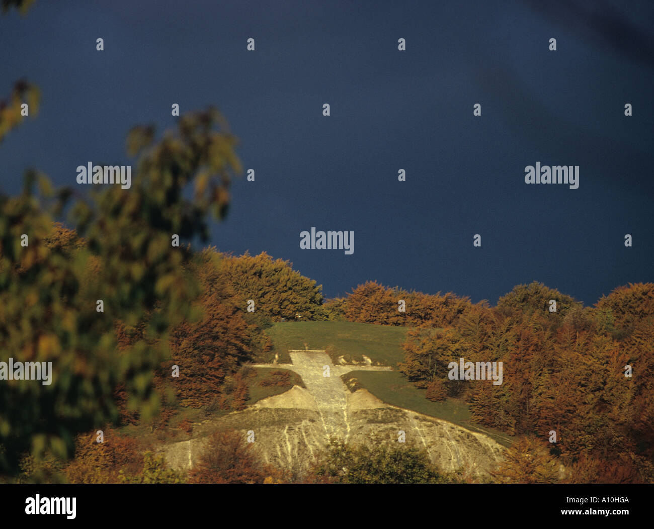 Whiteleaf Cross Shape cut in the chalk downs above Princess Risborough ...