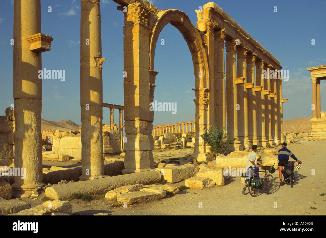 Palmyra archeological site hi-res stock photography and images - Alamy