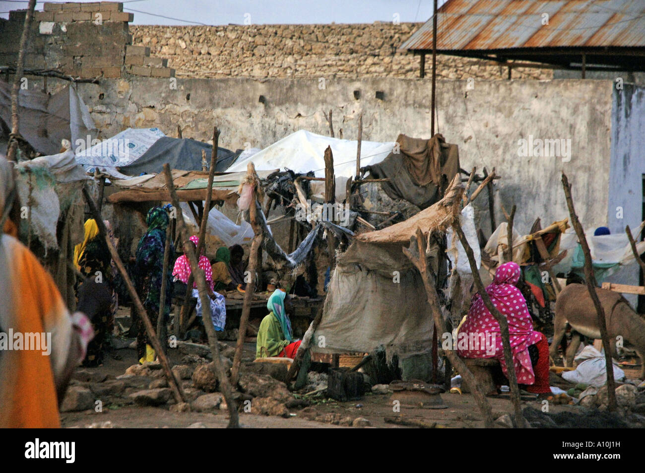 Merca is an ancient port city in the southern Lower Shebelle province ...