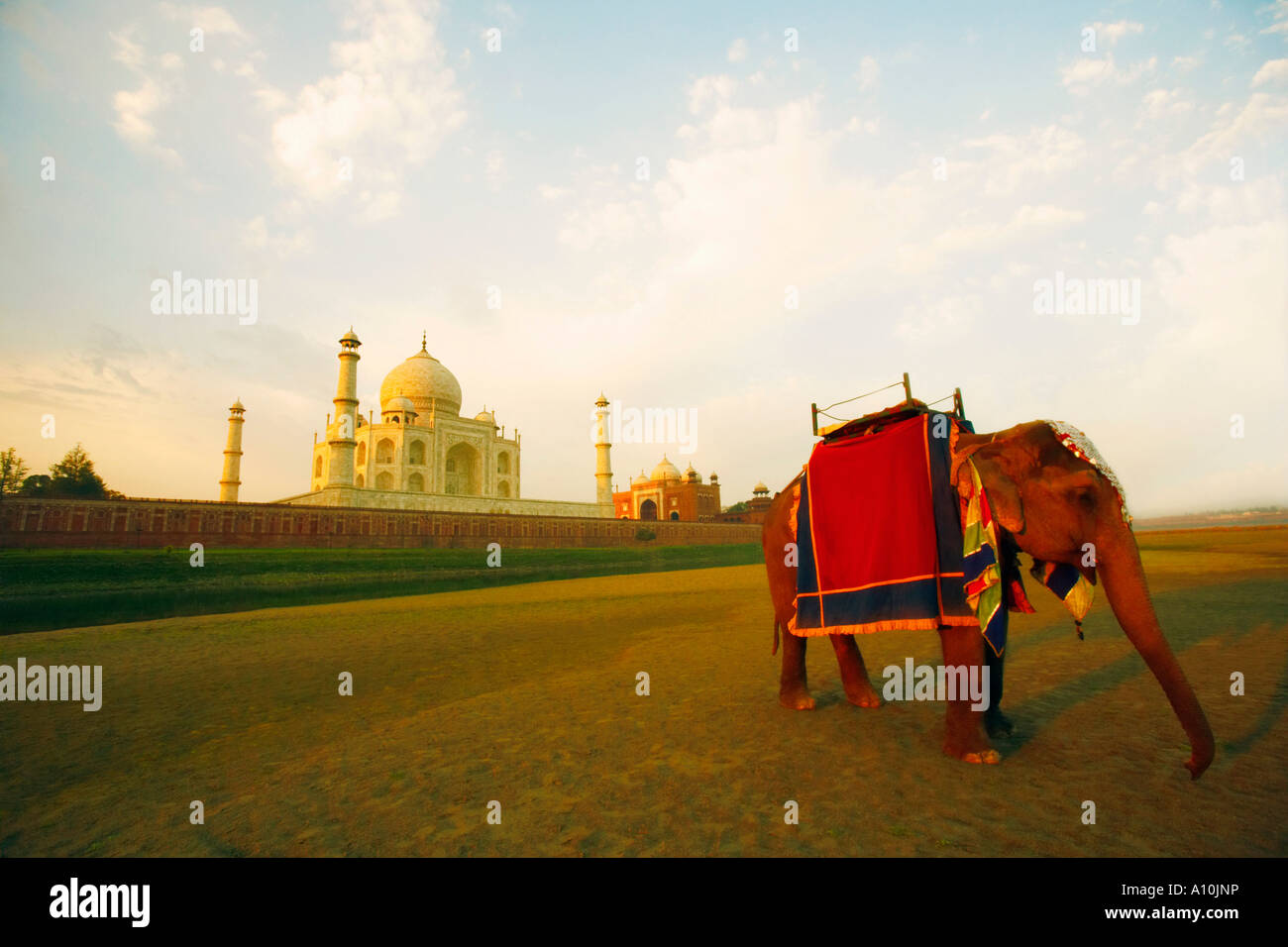 Elephant standing near a mausoleum, Taj Mahal, Agra, Uttar Pradesh ...