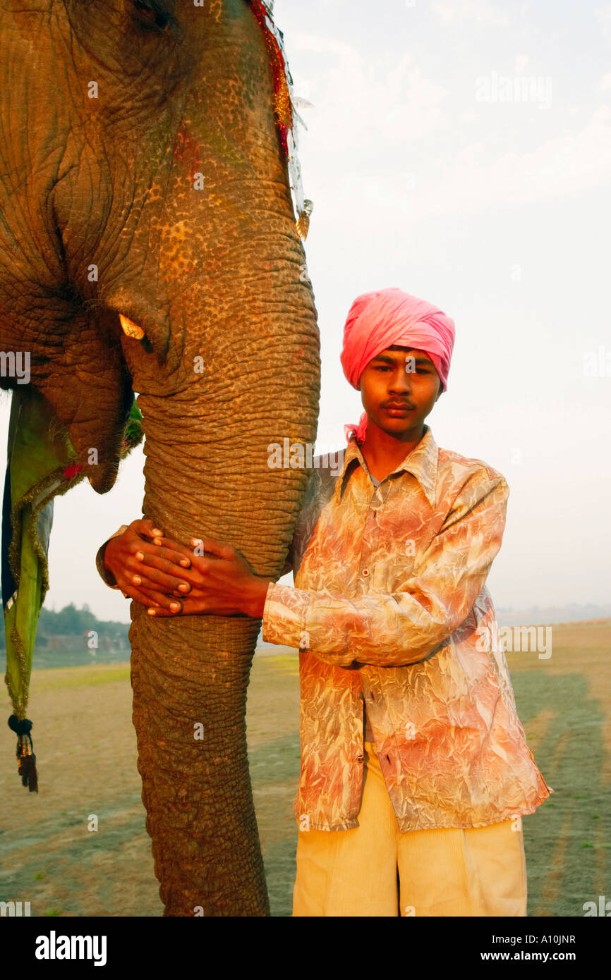 Close-up of a young man holding the trunk of an elephant Stock Photo ...