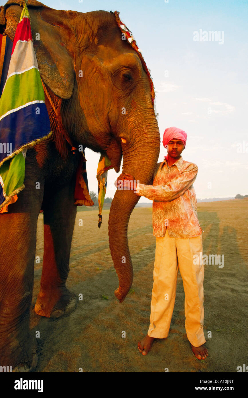 Young man holding the trunk of an elephant Stock Photo - Alamy